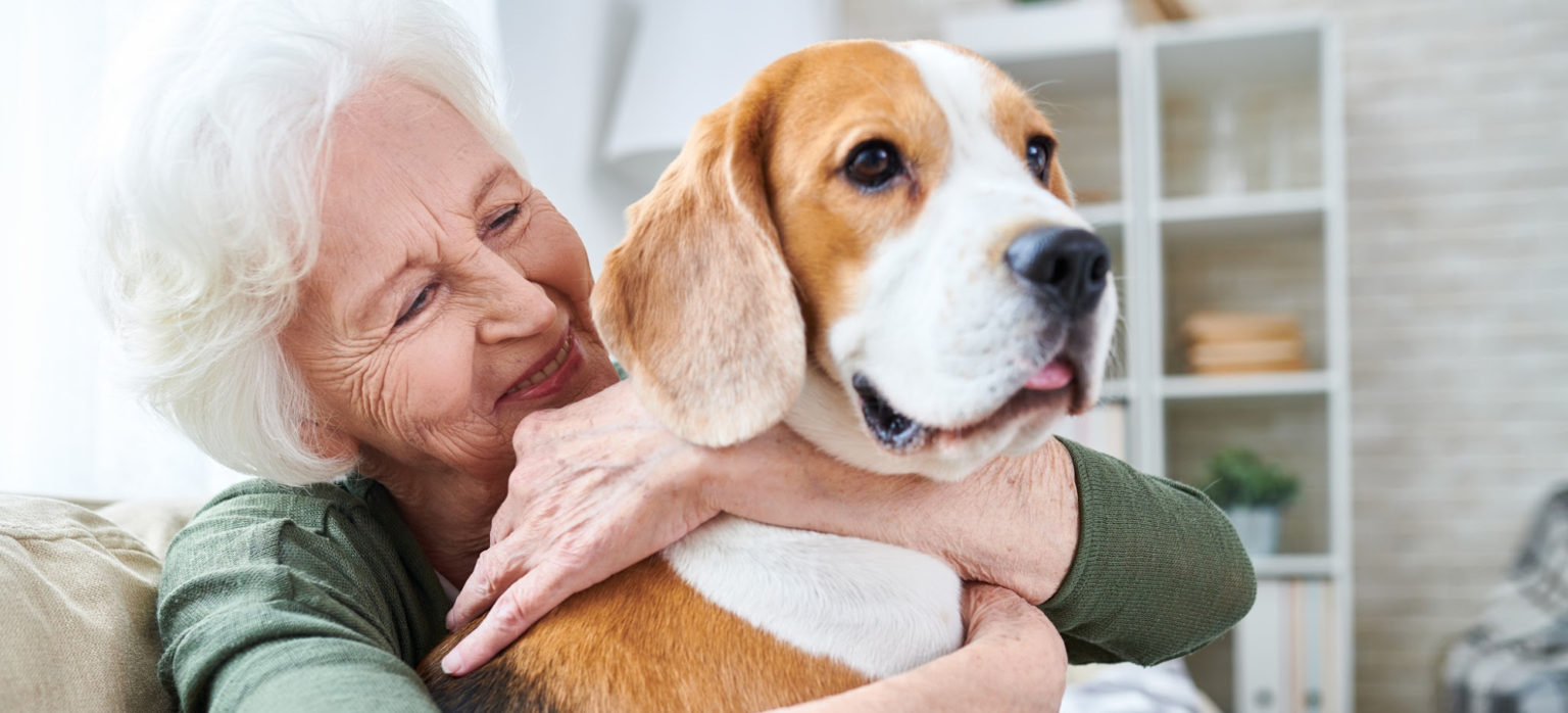 Who We Help - Rainier Animal Fund - Working to Ensure Access to ...