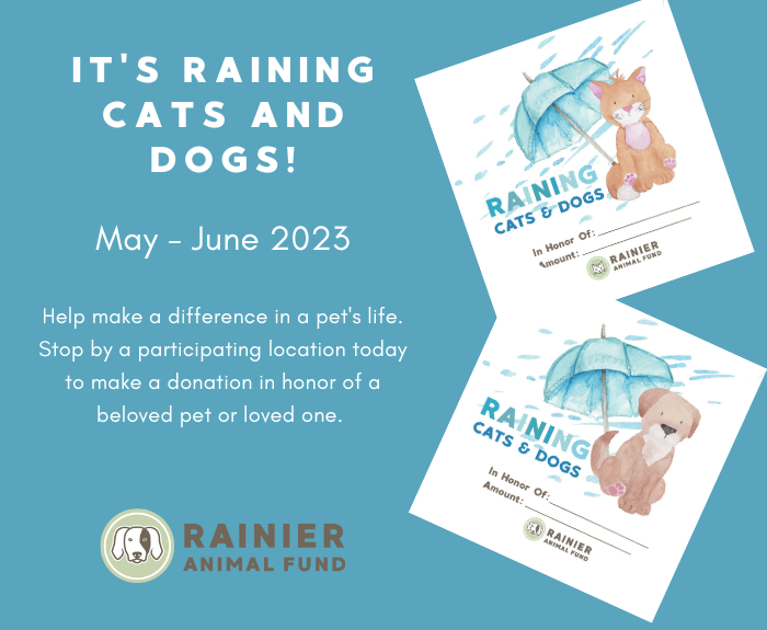 It's Raining Cats and Dogs 2023 - Rainier Animal Fund